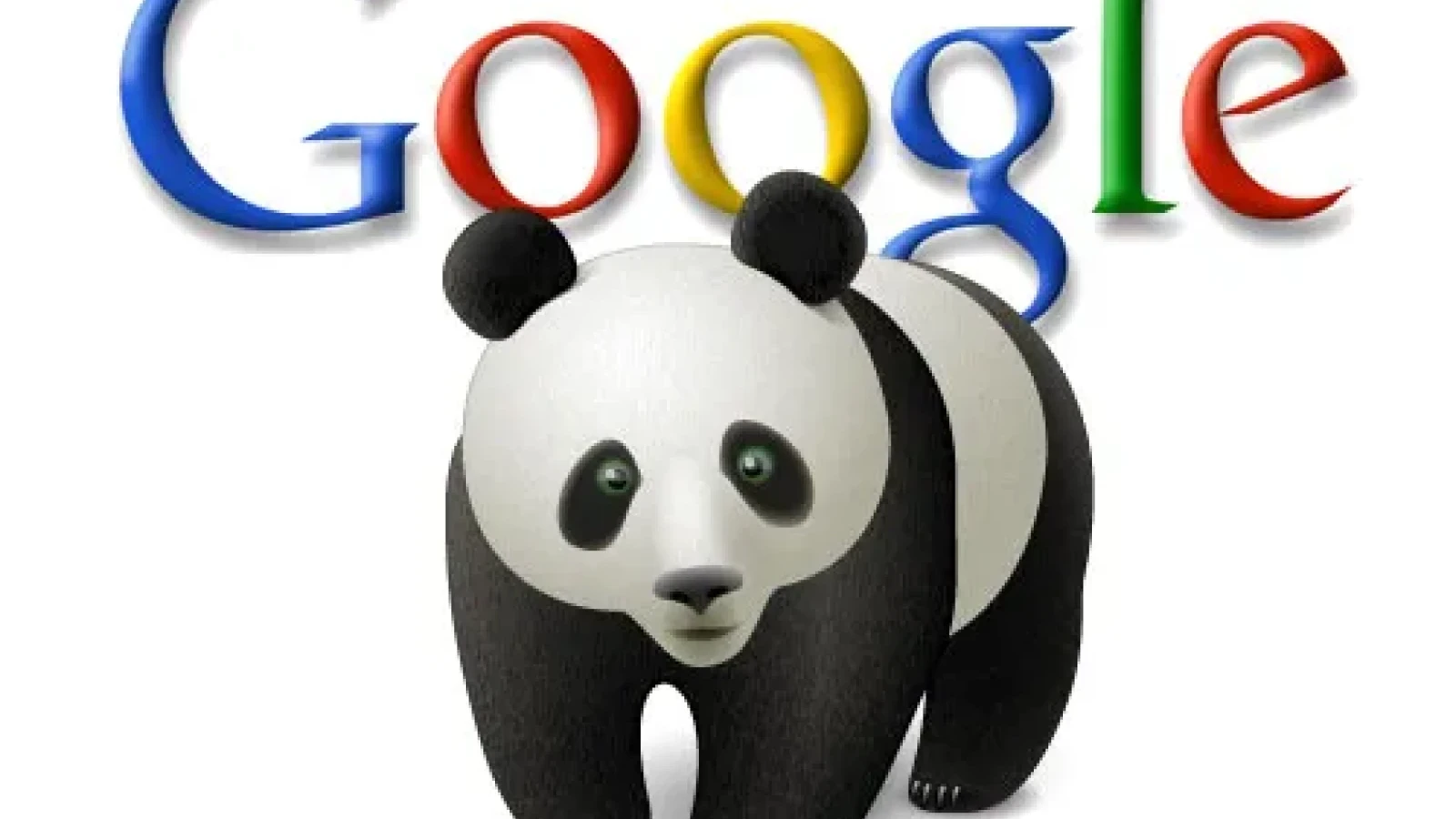 Noticia: ¿Qué es Google Panda? | Categoría: Tips para Sitios Web | Code ...